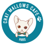 Concept – Chat Mallows Café